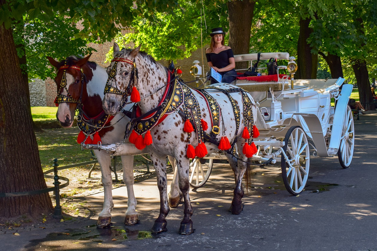 Notre carrosse, une vie de citrouille ou de château... - Un pas à d'eux